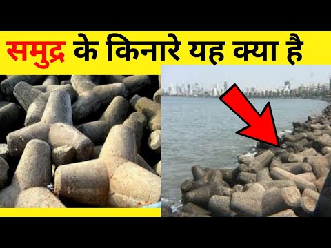 Tetra pods in Marine drive|What is the function of Tetrapods| Tetrapods in sea beach| facts in hindi