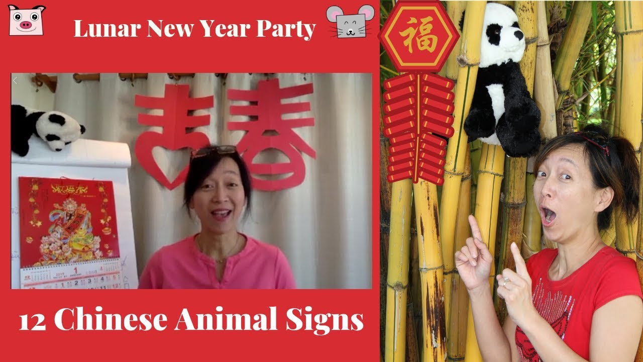 Chinese New Year 12 Animal Signs Miss Panda Chinese