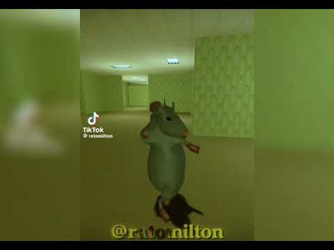 Rat dance | 1 hour loop | Viral TikTok dance
