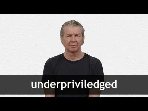 UNDERPRIVILEGED - Definition & Translations | Collins English Dictionary