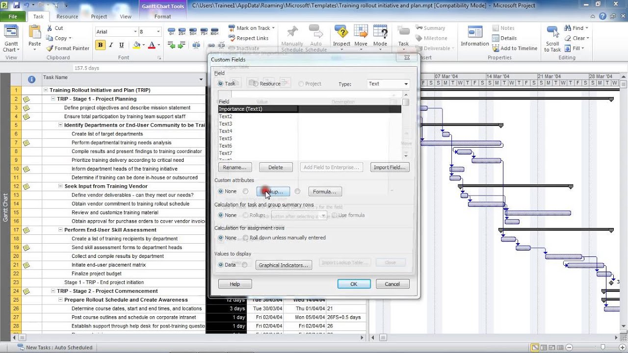 Create a Drop Down List Field in Microsoft Project