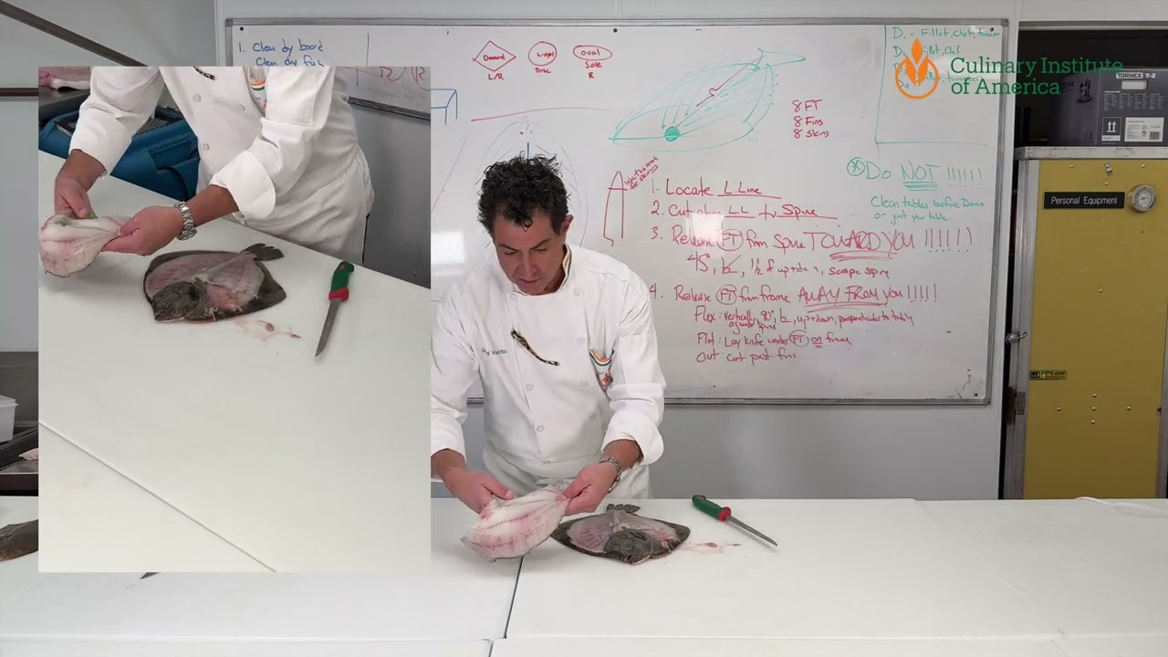 Turbot