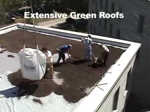 Building a Green Roof Part 1: Introduction