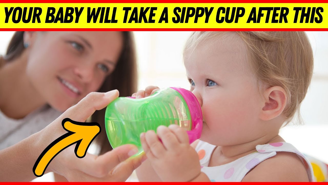 How to Get Your Baby to Use A Sippy Cup (No Fuss!)