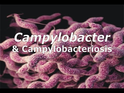 Environmental Testing for Campylobacter to Prevent Illnesses and ...