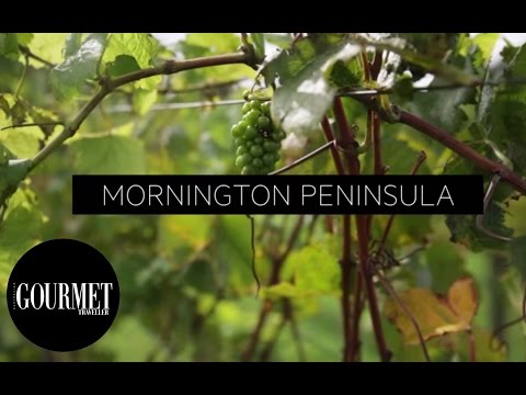 Gourmet Traveller's guide to the Mornington Peninsula