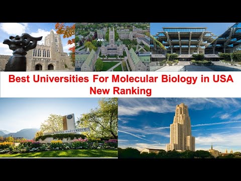 Best UNIVERSITIES FOR MOLECULAR BIOLOGY IN USA New Ranking