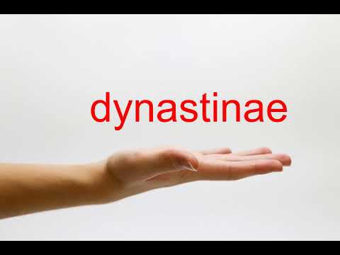 How to Pronounce dynastinae - American English