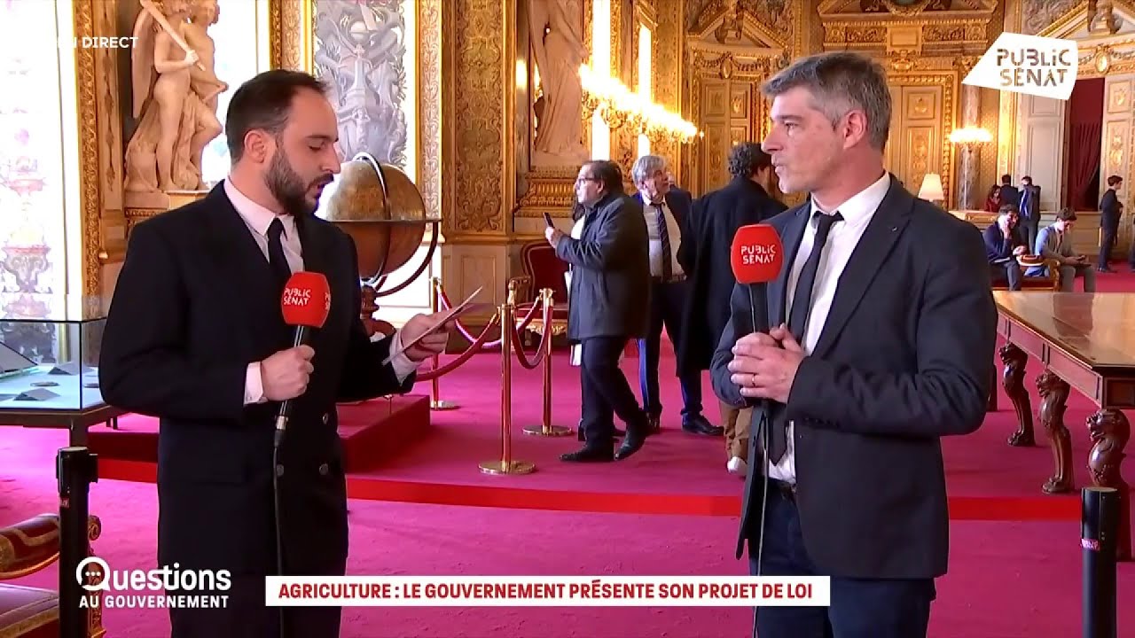 Passage de Quentin Bataillon à TPMP : « C’est dramatique pour la démocratie » - Public Sénat