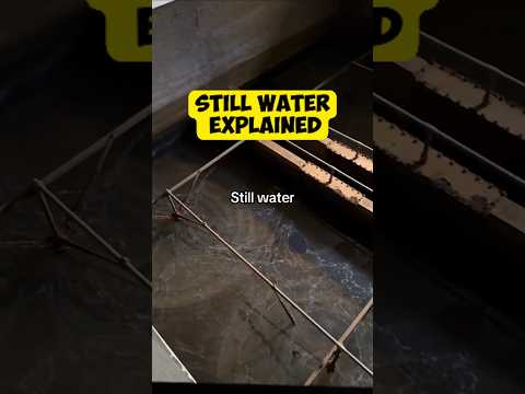 The TikTok "Still Water" Meme Explained