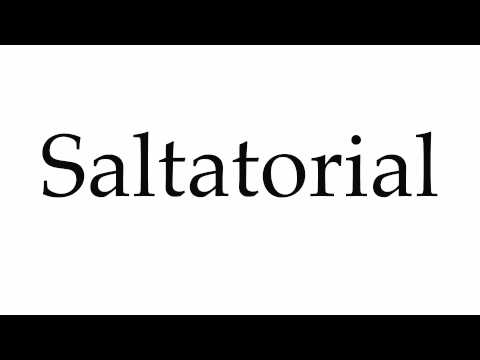 How to Pronounce Saltatorial