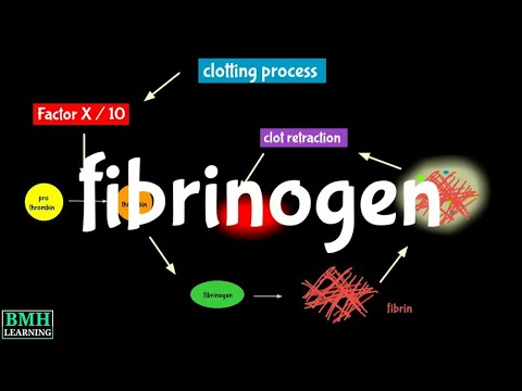 Fibrinogen | Factor I | Fibrin |