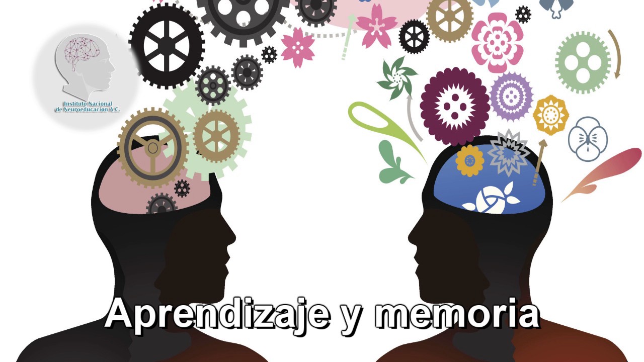 Aprendizaje y memoria 02