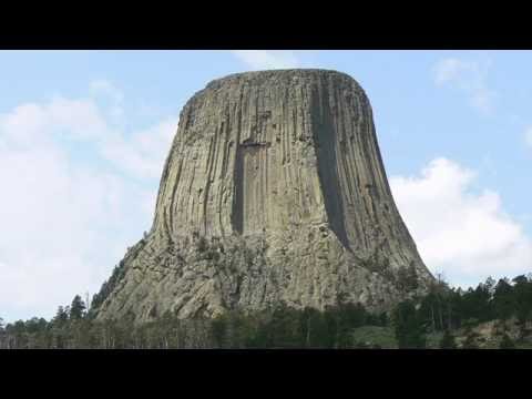 Could Basalt Structures Really Be GIANT TREE Stumps?