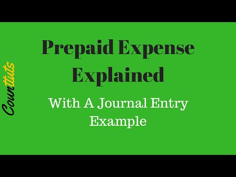 Prepaid Expense Explained With Journal Entry and Adjusting Entry Example