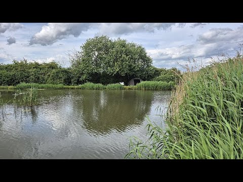 Finch Farm Fishery Catfish Lake May 2025