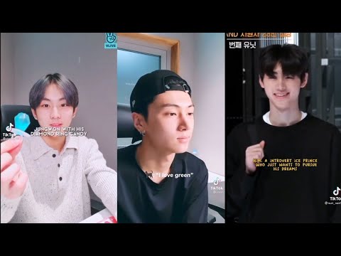 Enhypen tiktok videos because Jay's favorite color is GREEN๐