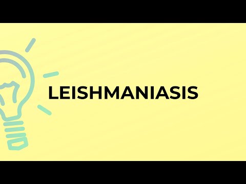 What is the meaning of the word LEISHMANIASIS?