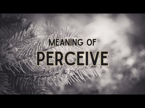 What is the meaning of Perceive?