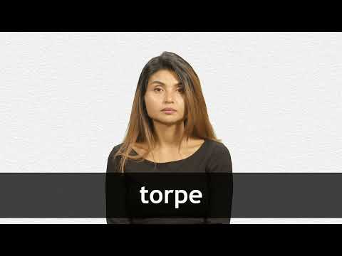Traducción en inglés de “TORPE” | Collins Diccionario español-inglés