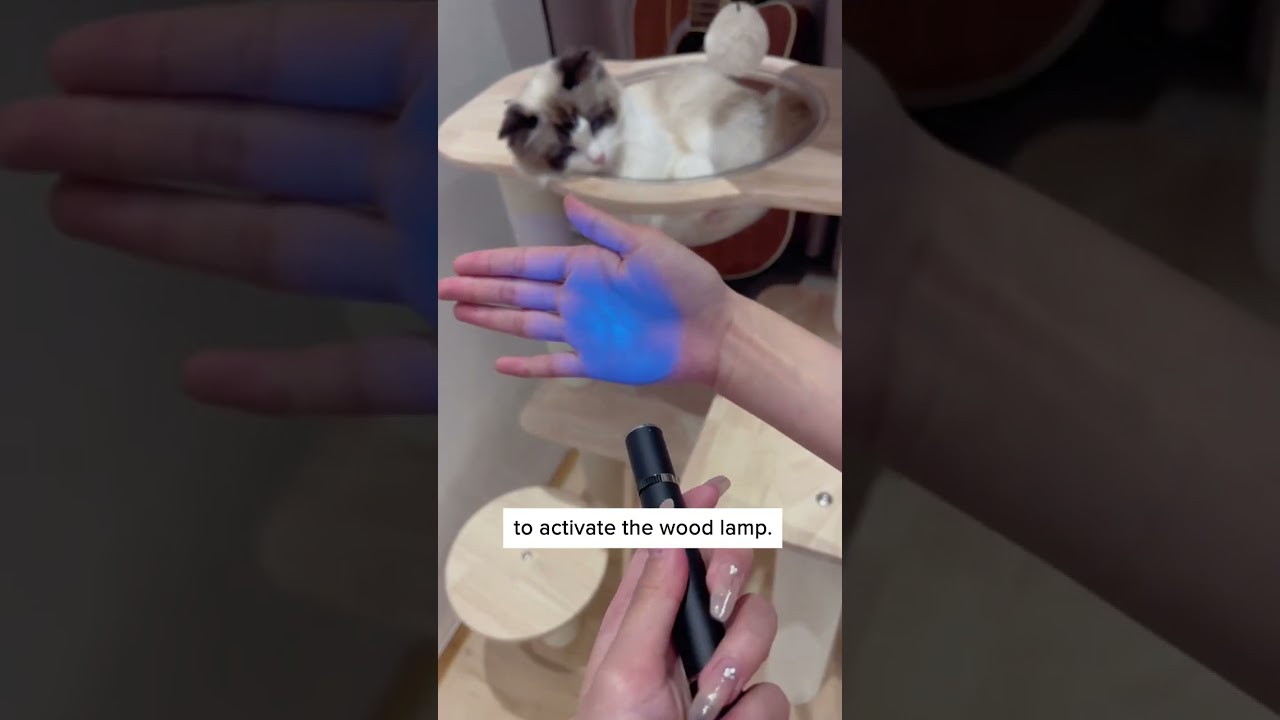 Detect Ringworm Before It Gets Untreatable! 😾😤