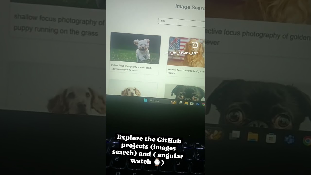 Explore GitHub projects create using html css js (angular watch ⌚)and (image search) 🔎
