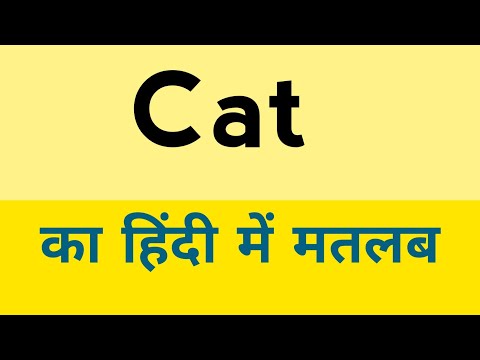 Cat 🐱 meaning in hindi | Cat ko hindi mein kya bola jata hai