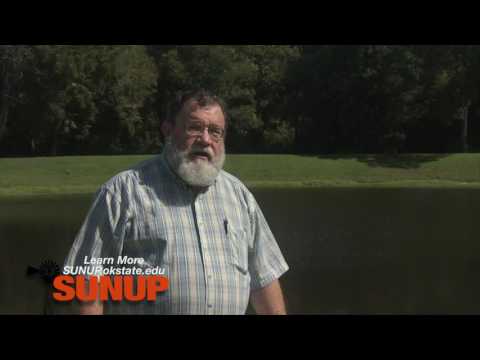 What is Blue-Green Algae? (7/23/16)