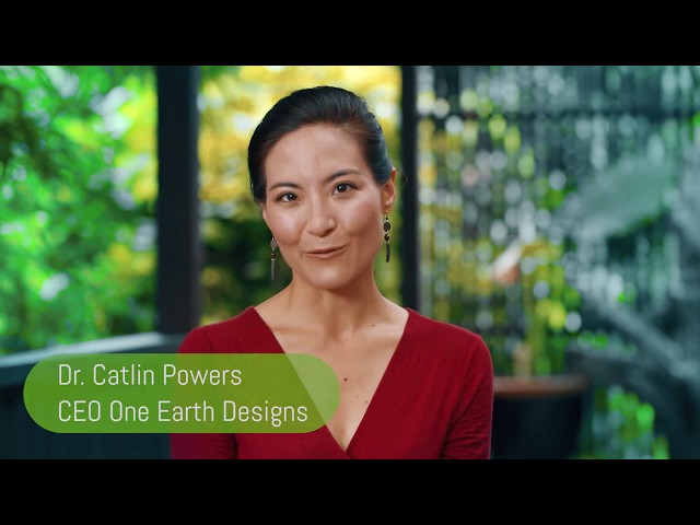 Shark Tank update: What happened to SolSource after the show?