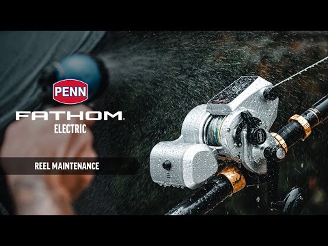 PENN Fathom Electric | Reel Maintenance