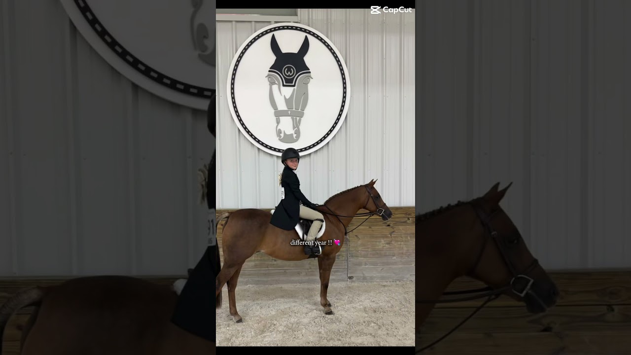 Pixie is gretting better