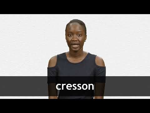 English Translation of “CRESSON” | Collins French-English Dictionary