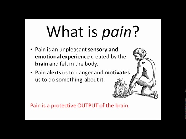 Understanding Pain: The Complex Perception Beyond Simple Sensation | Galaxy