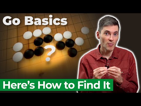 The Key Point | Basics of Life and Death: Lesson 1