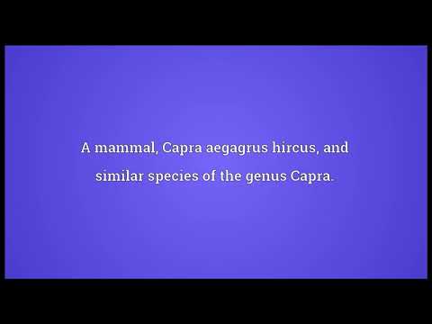 goat meaning in English