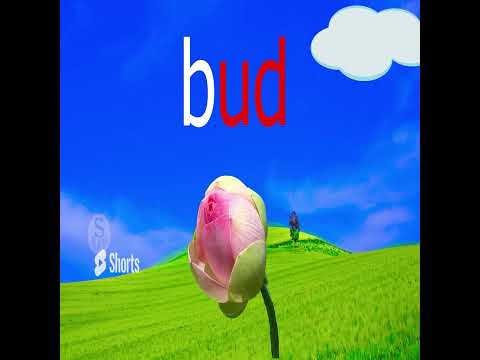 up, ud words with pictures/ u family words for kids/ #shorts