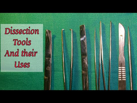 Dissection Tools Explained with functions Anatomy MBBS