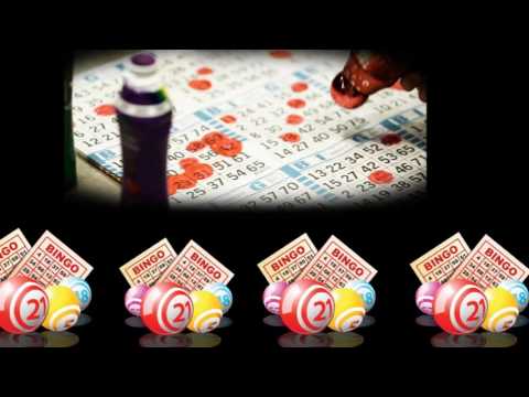 Play Online Bingo for Fun