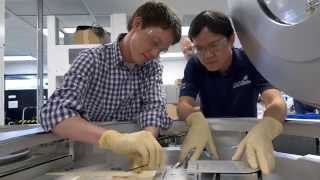 Working At Lam Research: Company Overview and Culture - Zippia