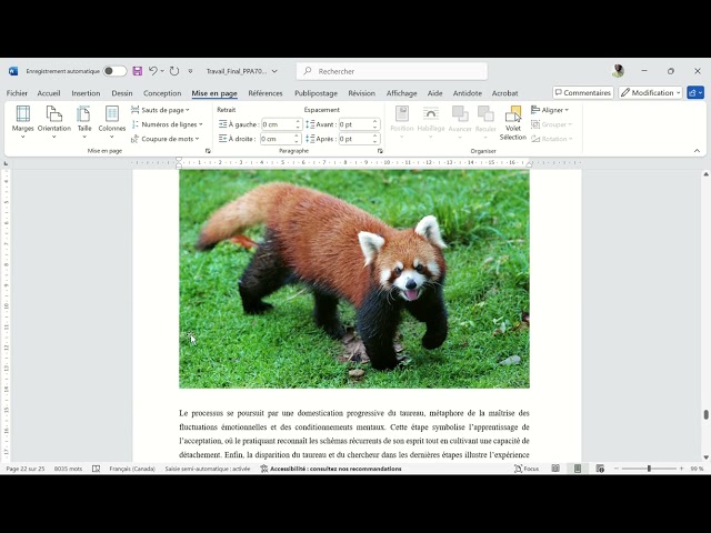 Mastering Image Manipulation in Word: A Comprehensive Guide | Galaxy