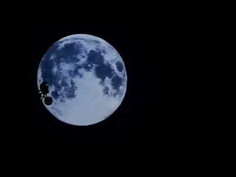 Closing to The Land Before Time 1989 VHS 60fps