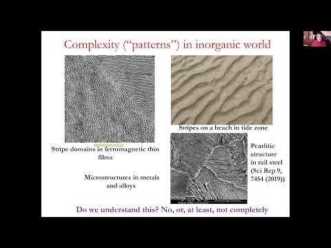 Mikhail Katsnelson “Frustrations, memory and complexity in physics and beyond”