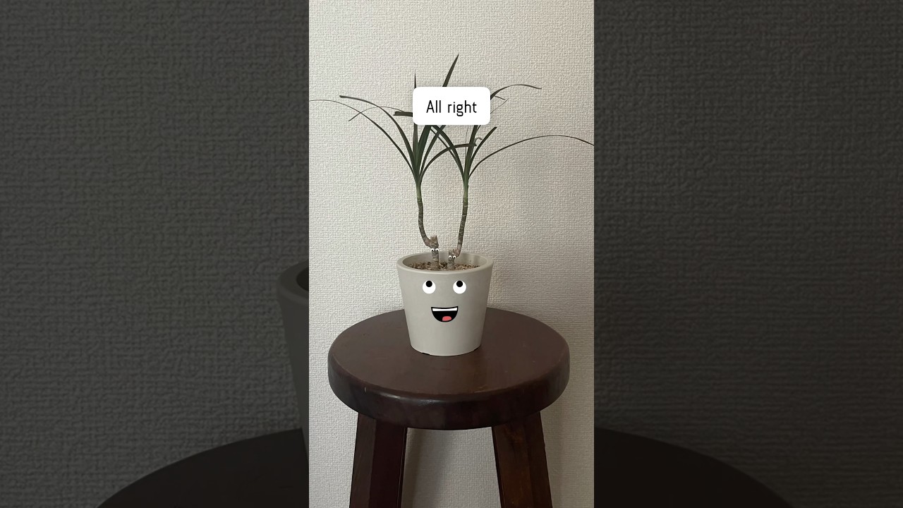 Grandpa Pot's Big Spin