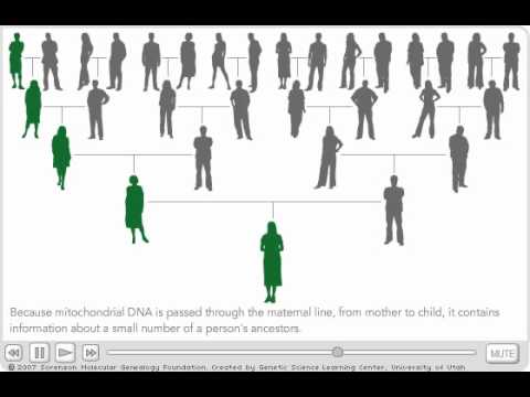 Genealogy and DNA – The Outlaw Jesse James
