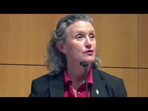 2017 State of the School of Nursing