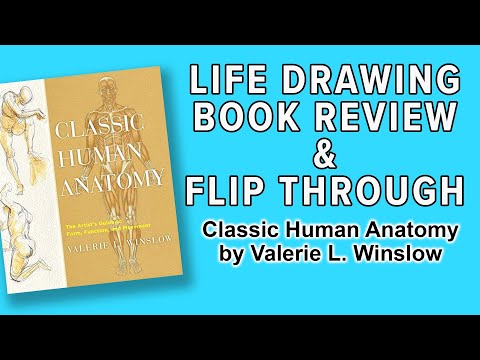 Classic Human Anatomy by Valerie L Winslow Review and Flip Through
