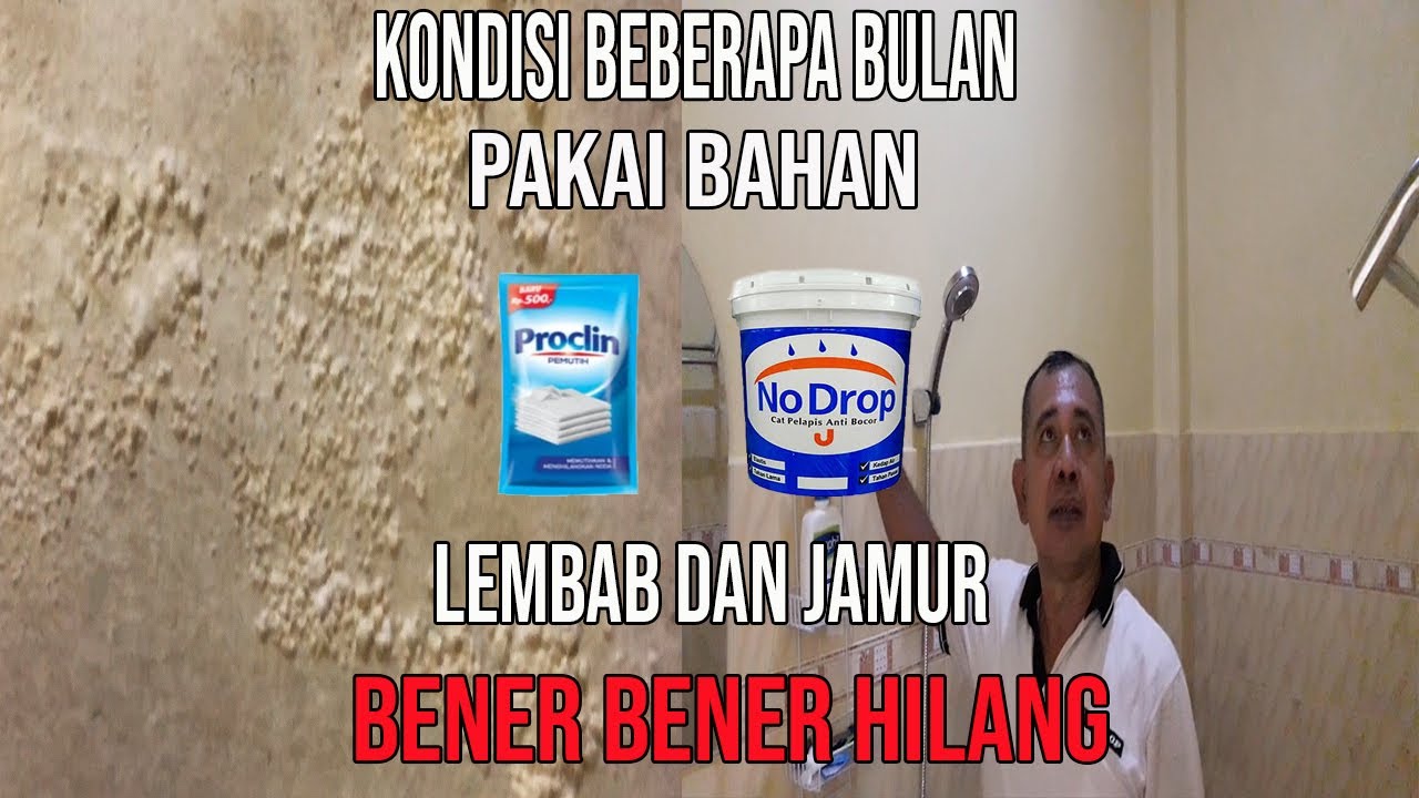 CARA MEMPERBAIKI TEMBOK LEMBAB DAN BERJAMUR