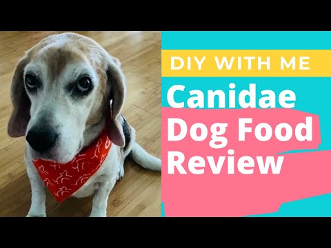 Canidae Dog Food Review