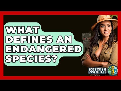 What Defines An Endangered Species? - Ecosystem Essentials