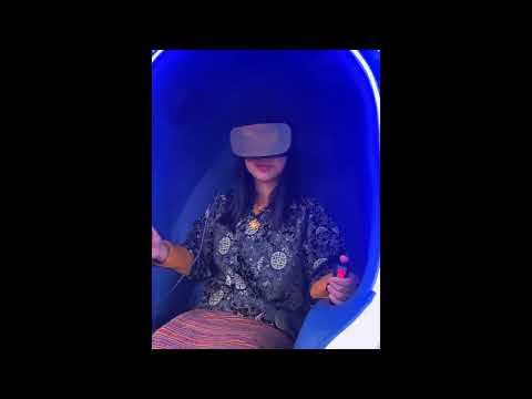 Virtual Reality (VR)